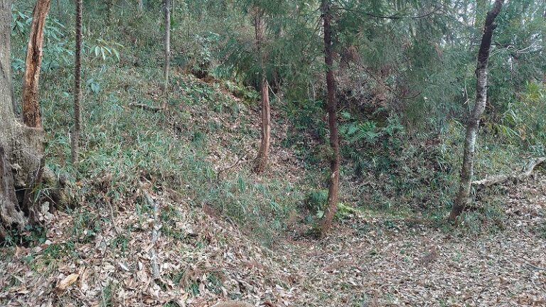吉見町の八丁湖付近の軍需施設と思われる洞窟探索 | スロイスの石を探すぞ！
